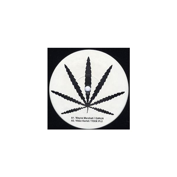 製造国 : US　　リリース年 : 2004　　レーベル : WHITE　　　　　　2004年大ヒットチューンが久々の再プレス入荷！レゲエ好きにはたまらないOutkast"Hey Ya"のカバー曲がホワイト盤ながら初アナログ化！当時、大ヒッ...