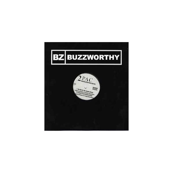 製造国 : US　　リリース年 : 2004　　レーベル : PAC MAN　　品番 : PAC001　　　　詳細は不明ですが2 Pacの未発表音源がUSのマイナー"Pacman"なるところからリリース！トラックを手掛けるのはBrookly...