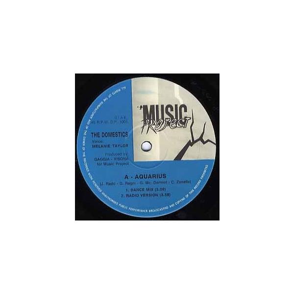 製造国 : UK　　リリース年 : 2004　　レーベル : WHITE　　　　　　珠玉のお宝グラウンドビートがWhiteながら完全限定リプレス！Rare Grooveファンにお馴染みThe 5th Dimensionの代表曲をグランドビー...