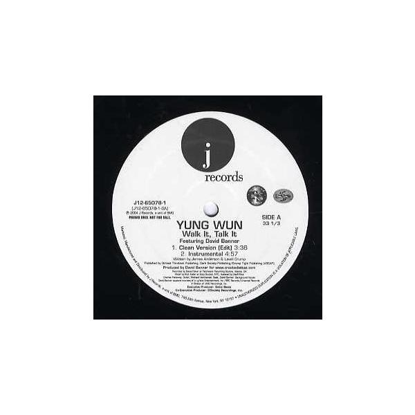 製造国 : US　　リリース年 : 2004　　レーベル : J RECORDS　　品番 : J12-65078-1　　　　J Recordsから"Anthem"でデビューしたRuff Ryders一派の彼ですが、フロアヒット作"Tear ...