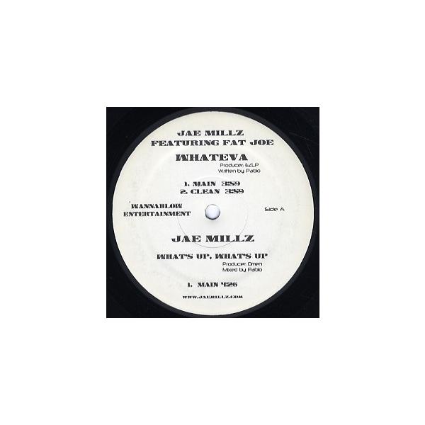 製造国 : US　　リリース年 : 2004　　レーベル : WANNA BLOW　　　　　　Dawn Penn"You Don't Love Me-No.  No.No."をTrack&amp;フックで使ったPartyシット"No No ...