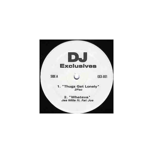 製造国 : US　　リリース年 : 2004　　レーベル : WHITE 　　品番 : EXX-001　　　　'04リリースのオイシイコンピ盤!! 未発表音源、レアなプロモ曲を収録したオイシイホワイトコンピシリーズ"DJ Exclusive...