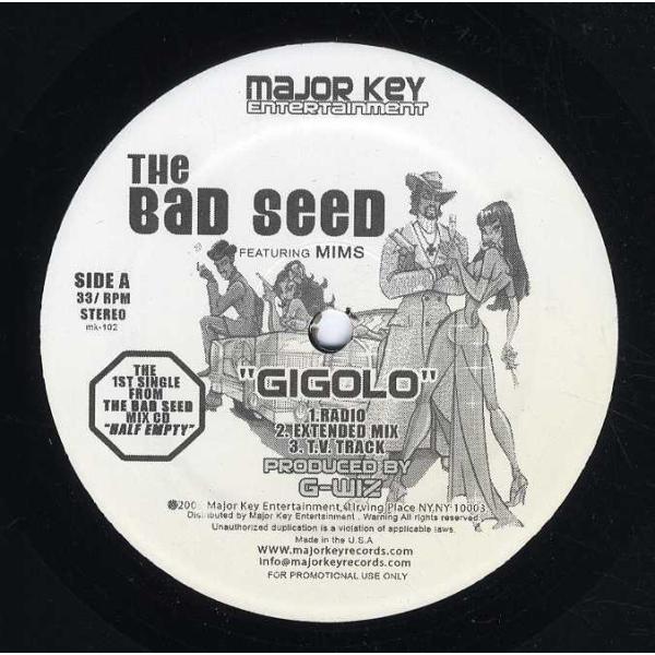 製造国 : US　　リリース年 : 2005　　レーベル : MAJOR KEY　　品番 : MK-102　　　　'02にマイナーから"For The Kids"をリリースしていた硬派MCの新作が登場！AL-JAの"Gangstar Chi...