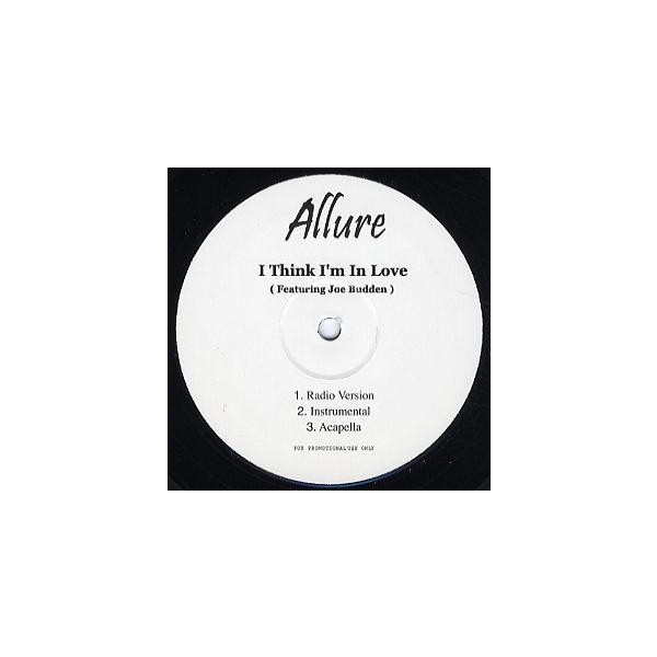 製造国 : EU　　リリース年 : 2004　　レーベル : Not On Label　　品番 : none　　　　'97にマライアキャリーの"Crave"から、Nasをfeatしたデビューシングル"Head Over Heals"で華々し...