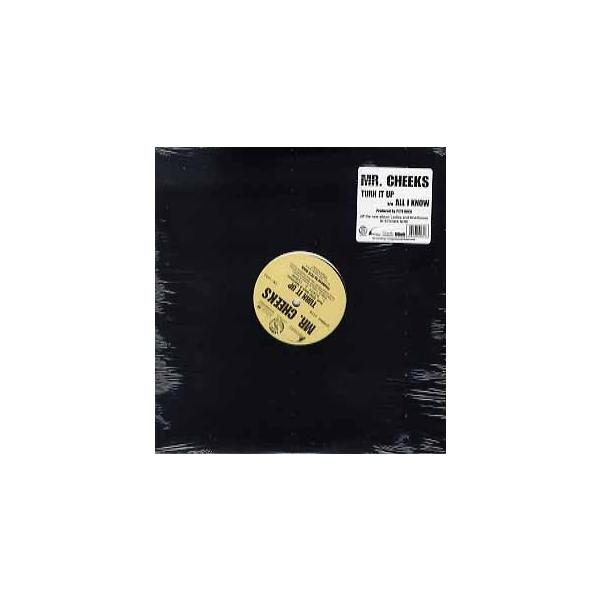 製造国 : US　　リリース年 : 2005　　レーベル : CONTANGO　　品番 : CR-1002　　　　Lost Boysのフロントマンである彼も時代の流れには勝てずマイナー落ちした昨年リリースのAlbum"Ladies And ...