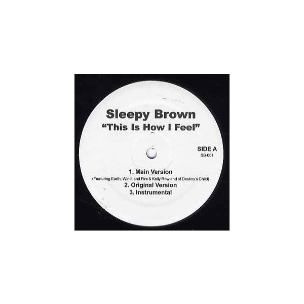 製造国 : US　　リリース年 : 2005　　レーベル : WHITE　　品番 : SB-001　　　　'05 ホワイトオンリーリリース作!! サントラ"Hitch"に収録のSleepy Brownの新作でEarth Wind &amp;...