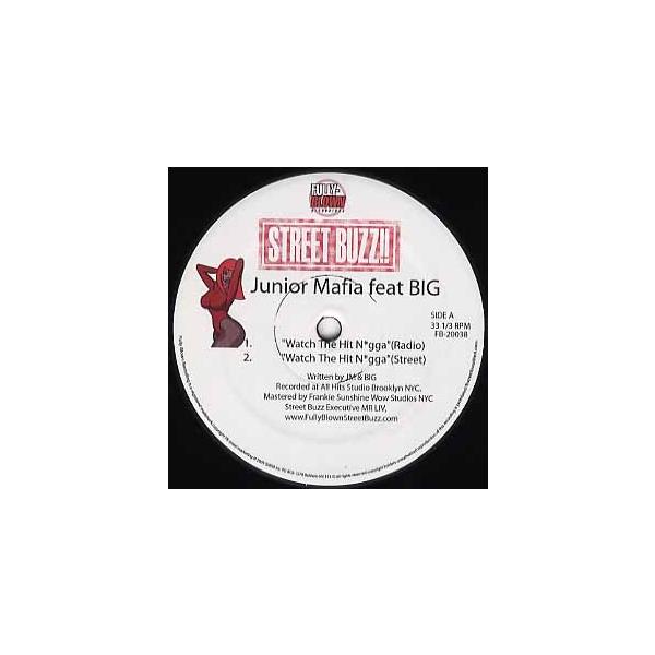 製造国 : US　　リリース年 : 2005　　レーベル : Fully Blown　　品番 : FB-20038　　　　'05リリース作！死して今なお伝説で有り続けるBiggyの強い後ろ盾で95年にDebutしたBrooklynのMC集団...