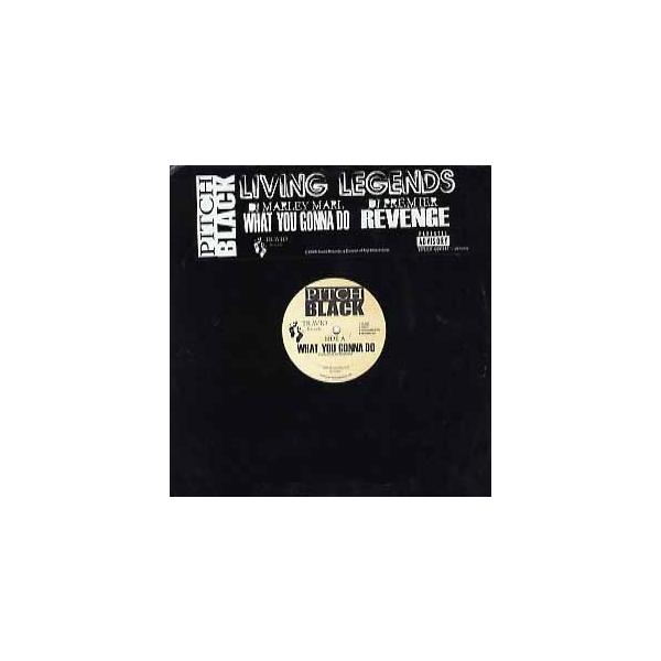 製造国 : US　　リリース年 : 2005　　レーベル : WHITE　　品番 : TRAV004　　　　'03にDJ Premier、Swizz Beatzが手掛けた"Shake That"、"It's All Real"でユニヴァーサ...