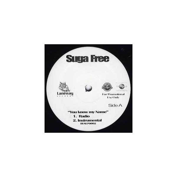 製造国 : US　　リリース年 : 2005　　レーベル : Bungalo / Laneway Records　　品番 : BUNLP0002　　　　再入荷！2004年にリリースしたアルバム"The New Testament: The ...