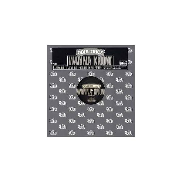 製造国 : US　　リリース年 : 2005　　レーベル : INTERSCOPE / SHADY　　品番 : INTR-11526-1　　　　US プロモ盤!! '03の1stアルバム"Cheers"に続く、2ndアルバムからの1stカッ...