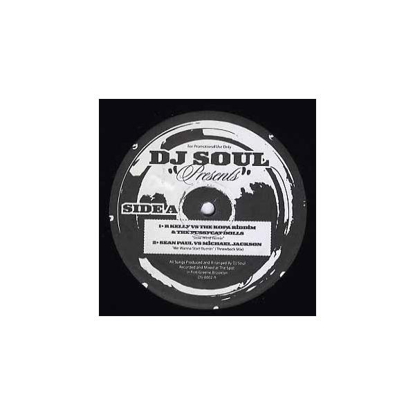 製造国 : US　　リリース年 : 2006　　レーベル : WHITE　　品番 : DS-0002　　　　'06リリース作。Brooklynを中心に活動し、Mix CDも数枚リリースしているDJ Soulによるヒップ・ホップ、R&amp;...