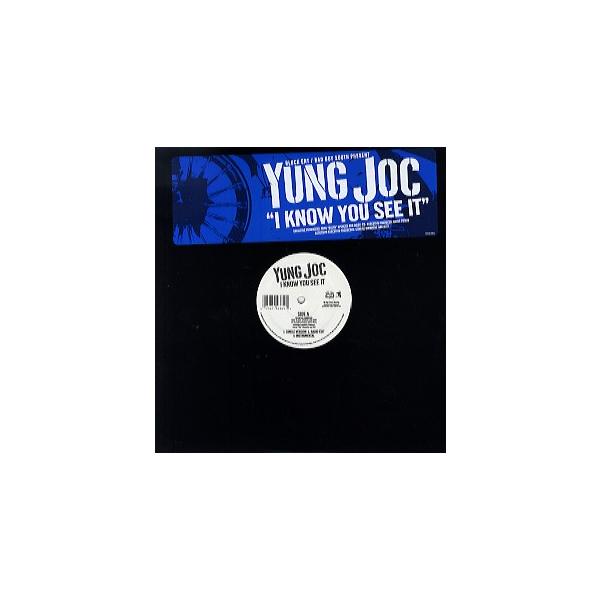 製造国 : US　　リリース年 : 2006　　レーベル : BAD BOY　　品番 : 094365　　　　好評に付き再入荷！Bad Boyからのサウス・クランクの新人が新作をリリース！前作"Goin Down"もビルボードチャートトップ...