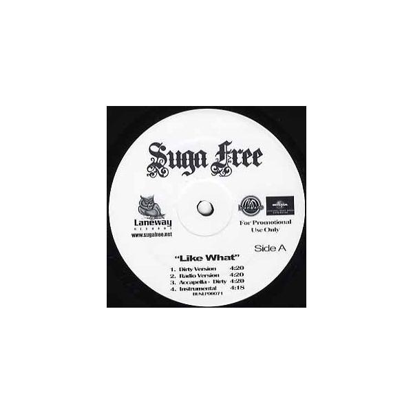 製造国 : US　　リリース年 : 2006　　レーベル : Bungalo / Laneway Records　　品番 : BUNLP0071　　　　再入荷！USプロモオンリー盤！'04発表のアルバム"The New Testament:...