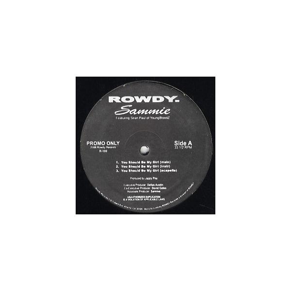 製造国 : US　　リリース年 : 2006　　レーベル : ROWDY　　品番 : R-100　　　　再入荷！最近再び活動再開したDallas Austinが率いるRowdyからホワイトながら話題の男性クランクR&amp;Bチューンが入荷...