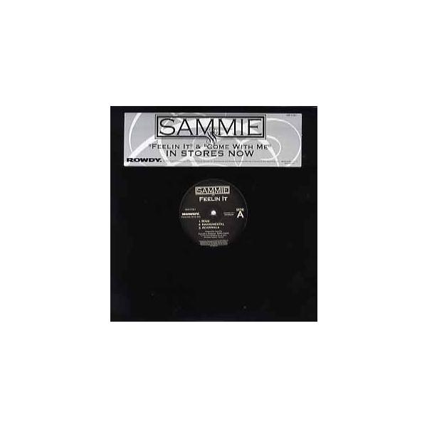 製造国 : US　　リリース年 : 2007　　レーベル : ROWDY / UNIVERSAL　　品番 : UNIR 21798-1　　　　注意！プレスミスにより若干ノイズが入りますがこの盤しかないので、待望の再入荷！待望の2ndアルバム...