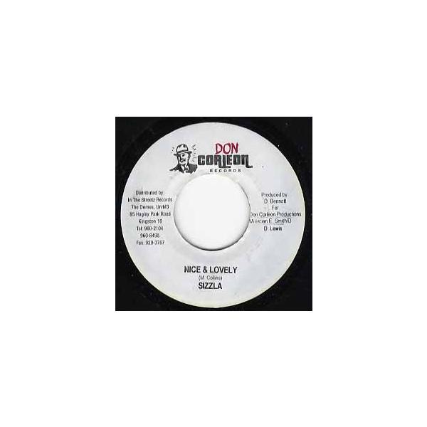 製造国 : JAMA　　リリース年 : 2004　　レーベル : Don Corleon　　　　　　'04 名作アルバム"Rise To The Occasion"からの7"シングル!! プロデュースは、Donovan"Vendetta"B...