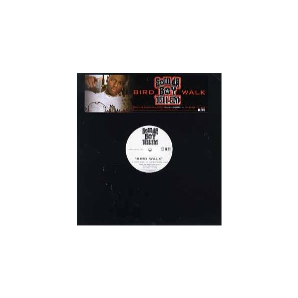 製造国 : US　　リリース年 : 2008　　レーベル : INTERSCOPE　　品番 : INTR125181　　　　USオンリープロモ!! Mr. Colliparkが発掘し、アトランタ出身若干17歳ながら、全世界で"スーパーマンダ...