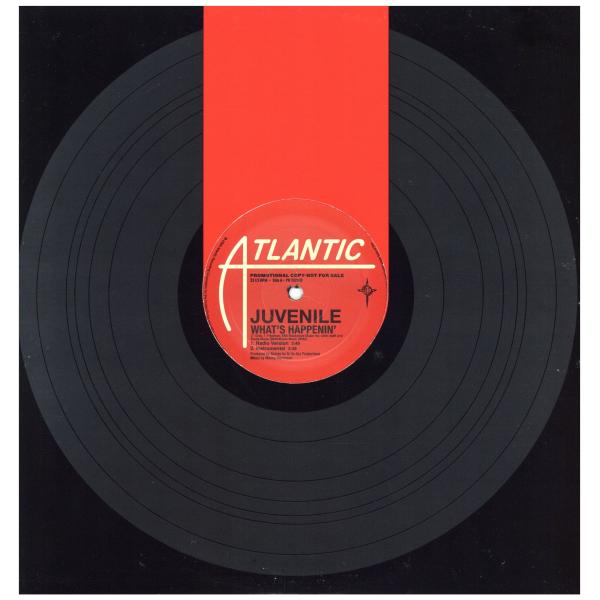 製造国 : US　　リリース年 : 2008　　レーベル : ATLANTIC　　品番 : PR 302108　　　　2005年7月にプロモでリリースされた"Animal"、チャート入りしヒットしたCool &amp; Dreが手掛けるソウ...