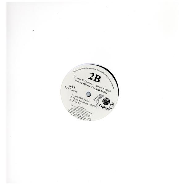 製造国 : US　　リリース年 : 2003　　レーベル : ORPHEUS　　品番 : NYCE06　　　　'03リリース作。デッドストック入荷。インディOrpheusレーベルからリリースされた2Bなるグループの12"シングル。Jungl...