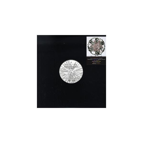 製造国 : JAPAN　　リリース年 : 2009　　レーベル : FACE THE MUSIC　　品番 : FMR153　　　　スタジオジブリ公認となった"Memory of Future"の歴史的ヒットから早十数年…、国内屈指のターンテ...