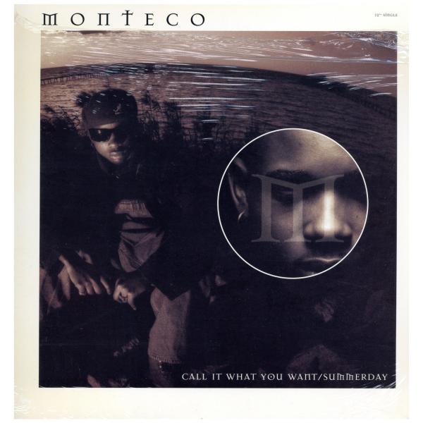 製造国 : US　　リリース年 : 1996　　レーベル : MCA　　品番 : MCA12-55122　　　　'96リリース作。シールド・未開封です。シュリンクが破れている箇所あります。90年代初頭にImmature、SmoothなどのP...