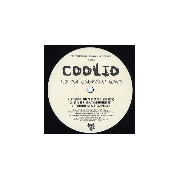 製造国 : US　　リリース年 : 1996　　レーベル : Tommy Boy Music　　品番 : TB 721　　　　'96にリリースされた大ネタ使いのパーティチューン!!!当時絶好調だった彼がEvasions"Wikka Wrap...