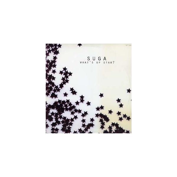 製造国 : US　　リリース年 : 1995　　レーベル : Rush Associated Labels / JMJ　　品番 : 314 577 433-1　　　　US Org!!!Def Jamから'95にリリースされた"The Sho...
