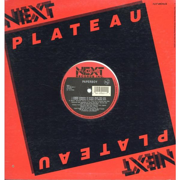 製造国 : US　　リリース年 : 1993　　レーベル : Next Plateau Records　　品番 : 162 350 021-1DJ　　　　Next Plateauレーベルジャケット。Eazy-E等のProでもお馴染みのRhy...