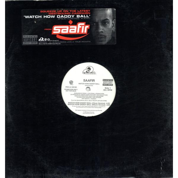 製造国 : US　　リリース年 : 2000　　レーベル : Qwest Records　　品番 : PRO-A-100193　　　　ジャケステッカー有。US Org。Oakland出身のMCが'98にリリースしたアルバム"The Hit ...