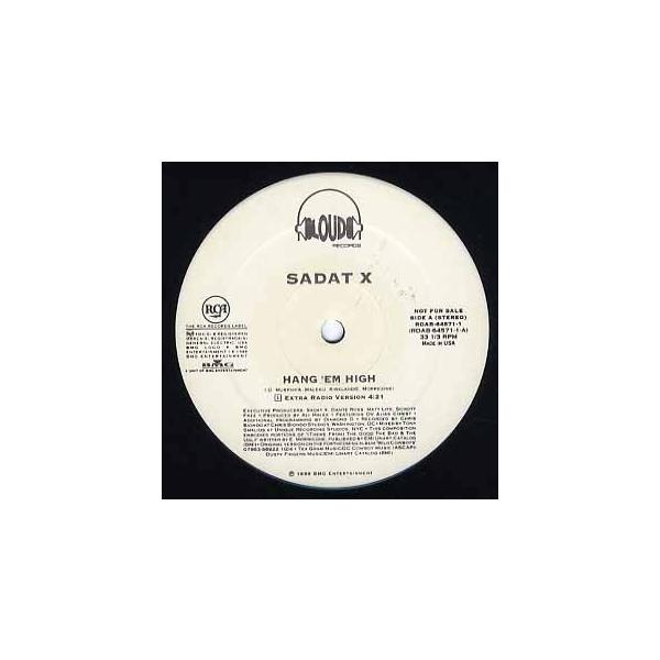 製造国 : US　　リリース年 : 1996　　レーベル : LOUD　　品番 : RDAB-64571-1 　　　　'96リリース作!! プロモ盤がデッドストック入荷!! 90年代に活躍したBrand Nubianのラッパー「Sadat ...