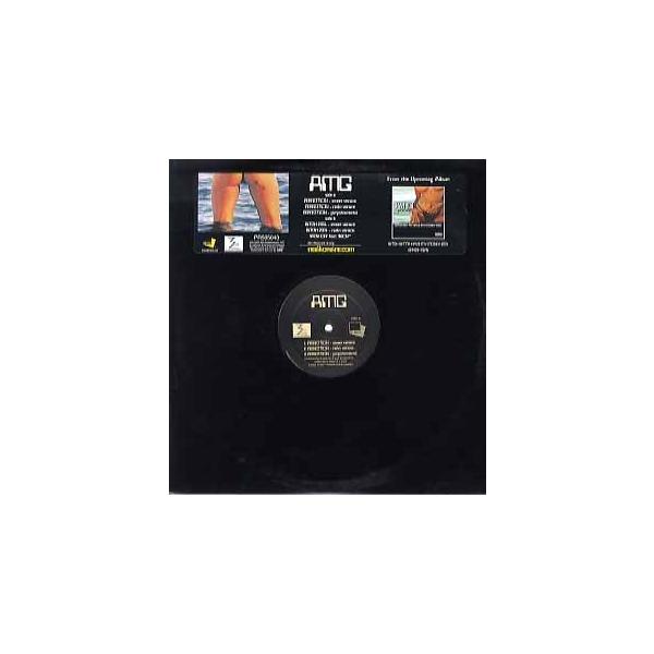 製造国 : US　　リリース年 : 2000　　レーベル : LIGHTYEAR　　品番 : PR505043　　　　ジャケステッカー有。2000年人気盤！"Bitch Give Me Back My Money"のウェッサイクラシックで知...