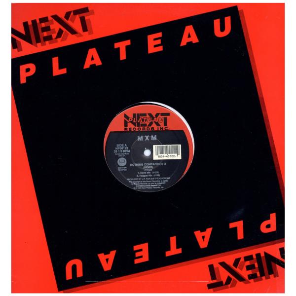製造国 : US　　リリース年 : 1990　　レーベル : Next Plateau Records Inc　　品番 : NP50122　　　　Next Plateau Recordsカンパニースリーブ。'90 US Org 12"。イタ...