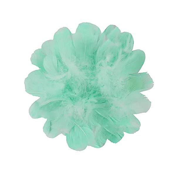 グリーン/-/-・Color:グリーン・パッケージ個数:1・お得コース容量が大きく、高品質の羽が200本含まれています。誕生日パーティー、結婚式、パーティー、その他のファッションなどすべてのニーズに対応します。手工芸品にもよく似合います。き...