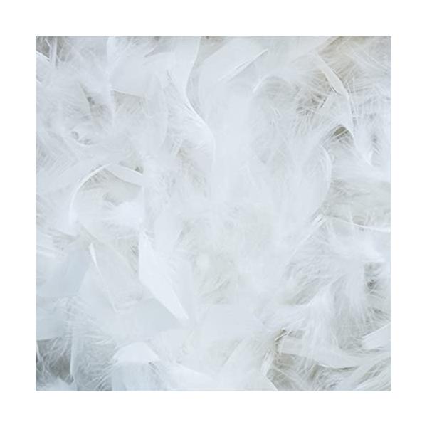・白い  ・・Color:白い・大容量で、300本の高品質の羽が含まれています。羽がふわふわと舞う幻想的なフェザーシャワー。・結婚式は、柔らかで真っ白な雪のように舞い落ちる羽毛シャワー。結婚式の新郎新婦のロマンチックな演出にぴったりです。・...