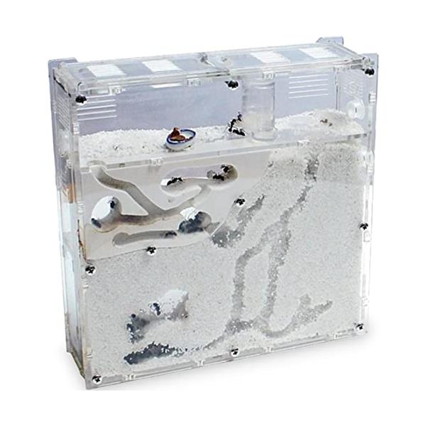 アリの巣観察キット。すぐ始められる9点セット（飼育ケース、飲水器、エサ入れ、掃除刷毛、虫眼鏡、注水ボトル、じょうご、ピンセット、綿棒）※砂は別途ご用意下さい。・この商品はアリを含まないよ〜公園などでアリを採集し、3D空間に広がる不思議な巣の...