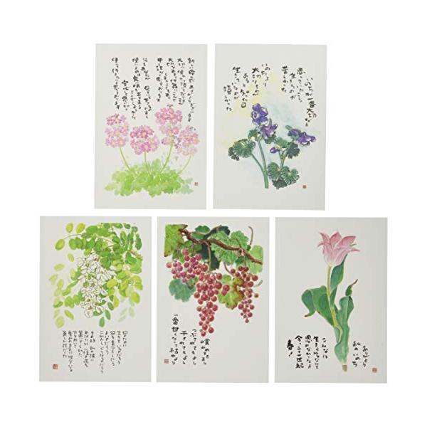 ありがとう/-/1205・Color:ありがとう・パッケージ個数:1・枚数5枚 命一式 いのち ニセアカシア ぶどう 私のいのち・材質紙・裏面番号枠ありの宛名面・梱包サイズ:0.4cm×16.0cm×10.7cm