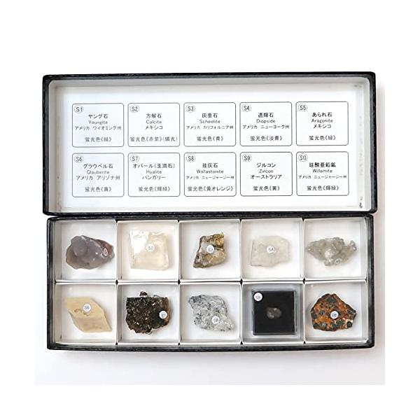 ・ ワンサイズ ・箱入り（紙製）　　箱サイズ 205×88×Ｈ35mm・紫外線【短波】をあてると、蛍光する鉱物10点セット （別紙解説付き）・フタの裏には、鉱物名と産地、また別紙にて蛍光鉱物について簡単な説明がついています・※材料入手の都合...