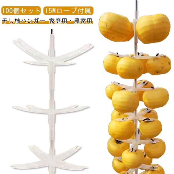 サイズ：直径約15cm※サイズ計測には誤差が生じます。