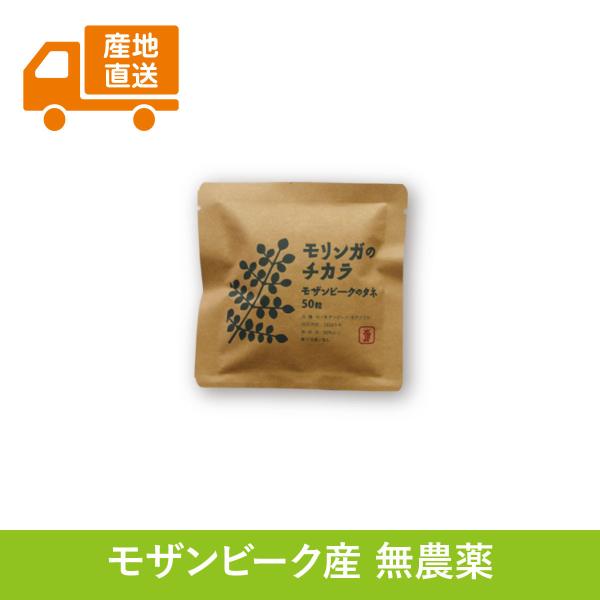 アフリカ・モザンビークの有機無農薬モリンガ農園で収穫されたモリンガの種です。栽培用または食用としてお楽しみ下さい。●栽培用として沖縄県ではもちろん、県外でも鉢植えでしたら室内で冬越しできます。見た目はとってもかわいく、生葉もサラダ等で美味し...