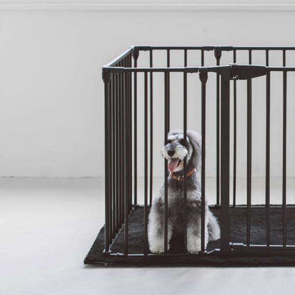 延長用のパネルになります。用途や設置場所の条件に応じて加えます。自由にパネルを追加し、お好きな形やサイズを作ることが可能となっており、 サークル・ゲージとして使えるのはもちろん、キッチンや玄関などの入ってもらいたくない部分に合わせてゲートと...