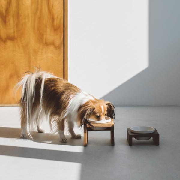 ご要望の多かった背の高い無垢のメシダイができました！メシダイは、獣医師のアドバイスの基に開発したペットのための食事台です。ペットにあったサイズを選ぶ事で健康維持の基本である食事量のコントロールが容易になります。高さがあるため食事の際に無理に...