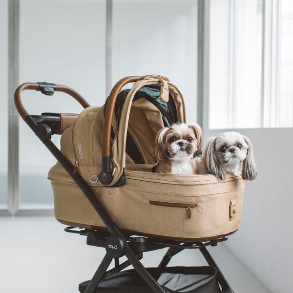 カラーオニキス&amp;コニャック・メルル&amp;コニャック・フォーン&amp;チョコレート・ブリンドル&amp;ブラック・セイブル&amp;コニャックサイズW×D×H(cm)【7R (MR)】52.3cm×90.1cm×107cm（メイ...