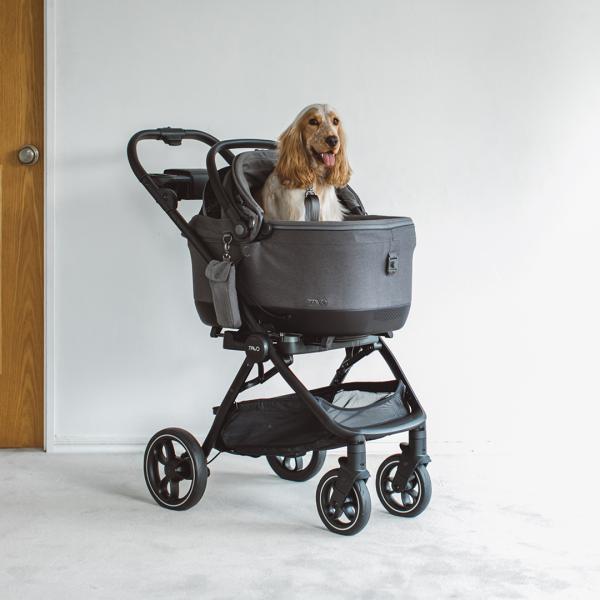 カラー6X：アシェン&amp;ブラック・フォーン&amp;チョコレートサイズW×D×H(cm)【6X】74cm×46cm×60cm（外寸）57cm×32cm×42cm（内寸）52.3cm×90.1cm×106.5cm（ロスコー組立時）52....