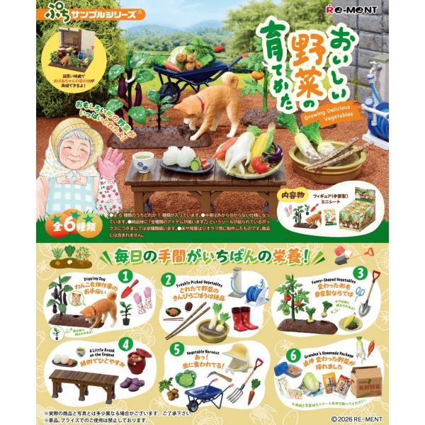 【発売日：2026年09月30日】【発売予定(仮)】2026年09月以降【メーカー】リーメント【品番】【スケール】【商品状態】新品※海外輸入品はパッケージにダメージが見受けられる場合がございます。封入物に影響のないダメージでのパッケージの交...