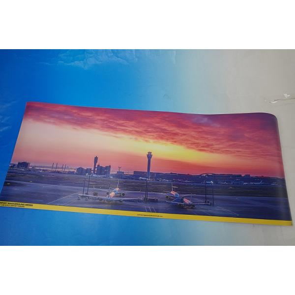 商品情報ジオラマモデル（光沢厚紙/表面コーティングあり）サイズ：約35cm×90cm商品状態・中古品ですが、本体に目立ったダメージ無く状態良い方だと思います（セロテープは撮影上の重しで商品には付属しません）・こちらは本体のみで、外箱等付属し...