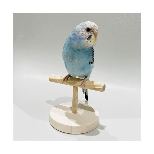 小鳥の楽しい遊び場シリーズ。お部屋で自由に遊ばせたい方に！ 簡単組立！丸いベースの穴に止まり木の軸を差し込むだけ。（固定する際は、市販の木工用接着剤をご使用下さい。）