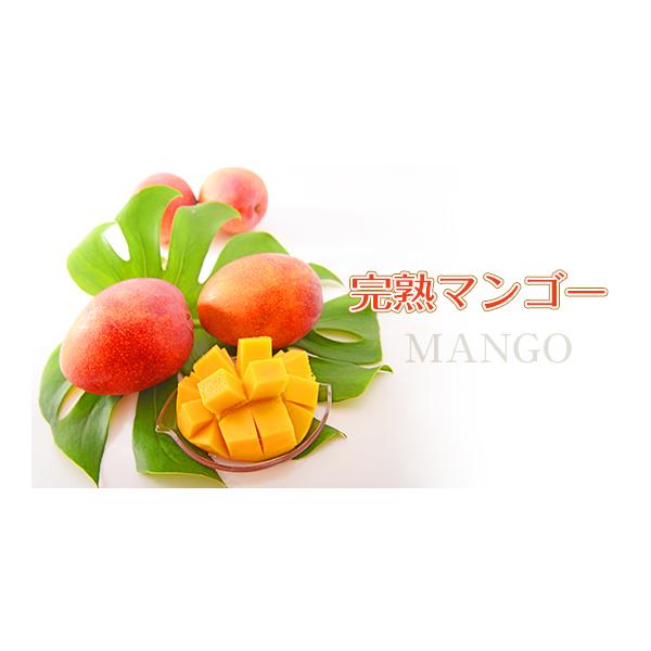完熟なのに後味さっぱり。高知県安芸市産の最高級品マンゴーです。甘さだけを追求していくと、飽きがくるのも早くなってしまうので、独自の栽培法を確立することで、甘いだけではない「もっと食べたくなる味」を追求し納得の味を生み出しました。苗木生産のノ...