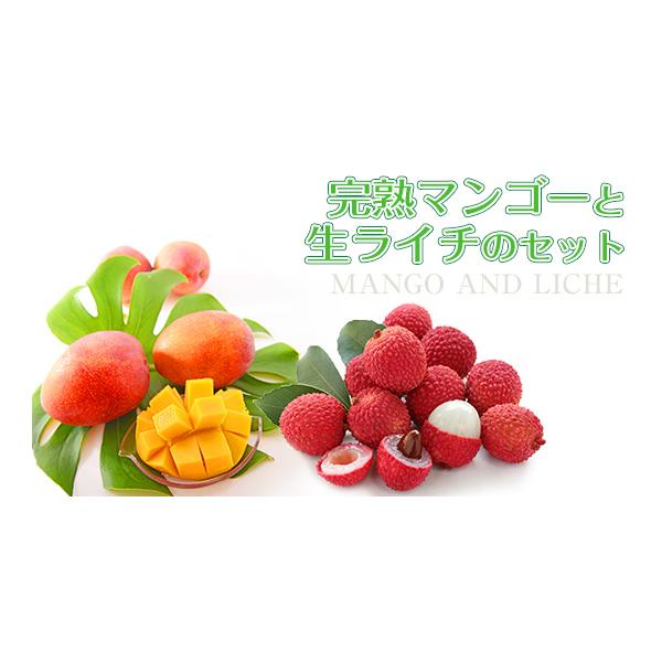 高知県安芸産の完熟マンゴーとライチのセットです。★原産地　高知県★賞味期限　到着後2~3日