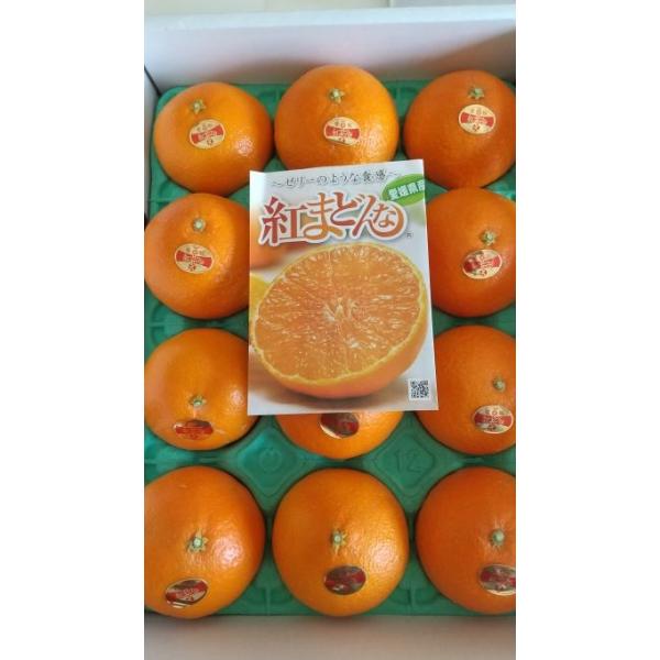 南香と天草の交配品種。たいへん薄くてやわらかい外皮とじょうのう膜（薄皮）を持ち、果肉もゼリーのようになめらかで果汁たっぷりです。糖度が高く酸抜けも早いことに加え、大玉で紅の濃い美しい外観から、年末の贈答品として人気が高まっています。外皮が薄...