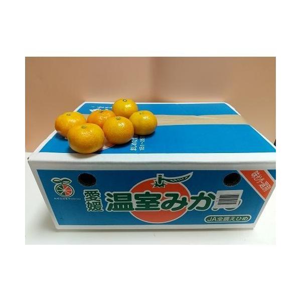 　ハウスみかんとは、ハウス栽培によって生産する温州みかんで、専用品種といったものはなく、温州みかんの極早生種・早生種が使われています。★内容量　S〜2Sサイズ　５ｋｇ★産地　愛媛県*画像はイメージです。＊７月上旬からの発送予定です。